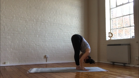 Modified Sun Salutations - Sam Gent Yoga