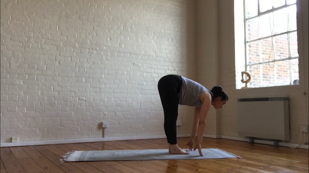 Modified Sun Salutations - Sam Gent Yoga